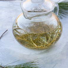 Pine Needle Tea Recipe and Benefits - Happiness Is Homemade
